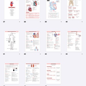 Cardiac Bundle Notes Nursing Study Guide Med Surg Notes - Etsy
