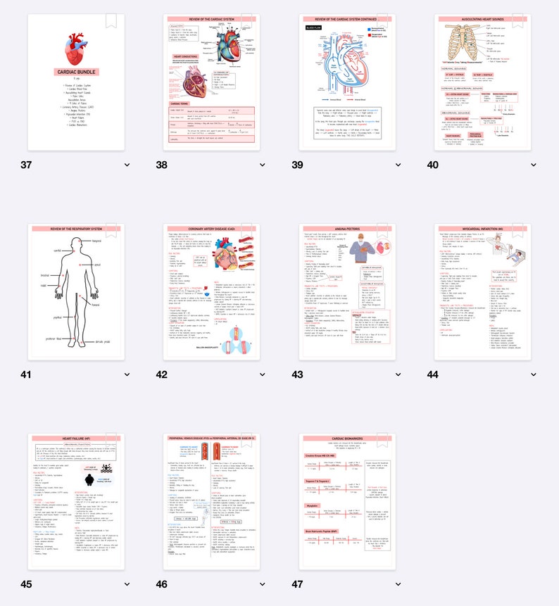 Cardiac Bundle Notes Nursing Study Guide Med Surg Notes - Etsy