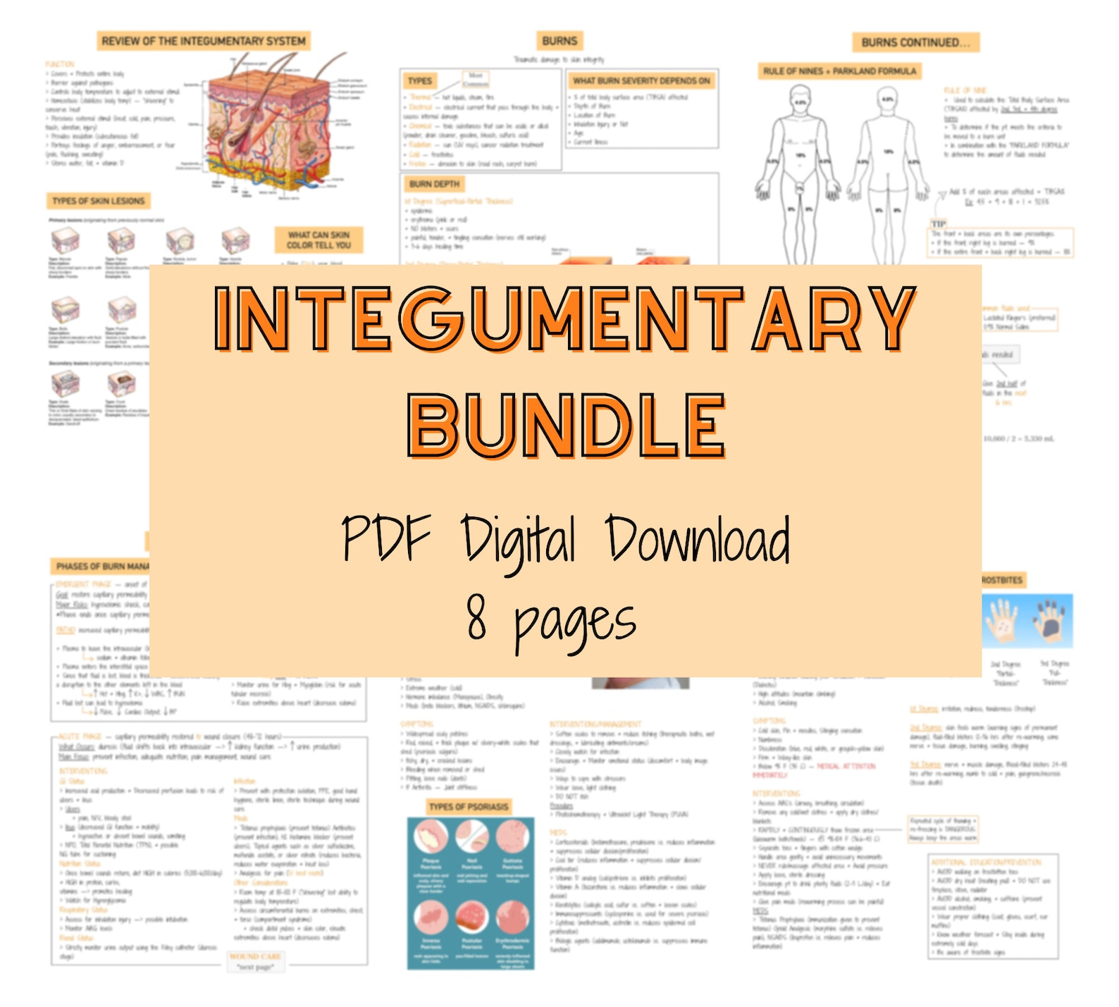 Integumentary Bundle Skin Disorders Burn Notes Med Surg - Etsy
