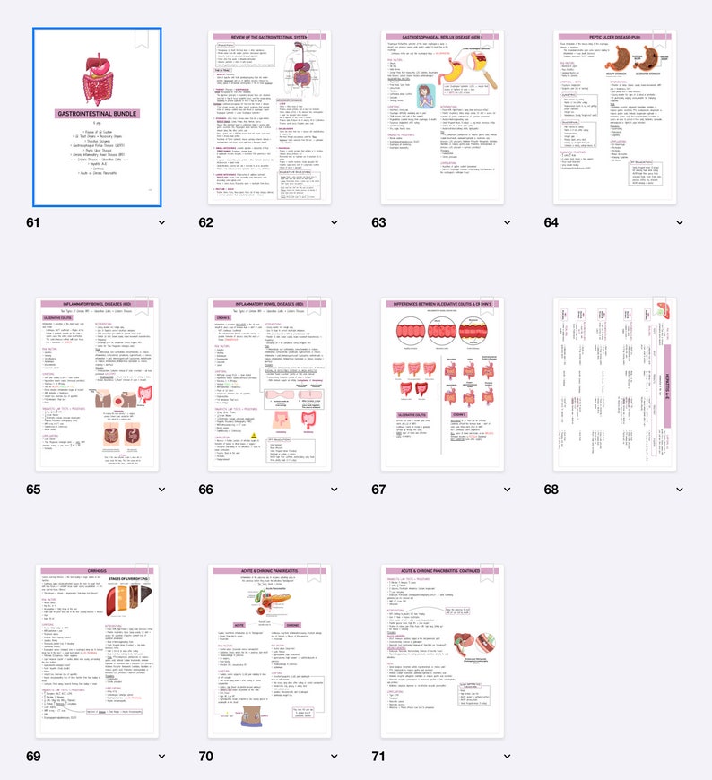 Gastrointestinal Bundle Med Surg Medical Surgical GI Study - Etsy