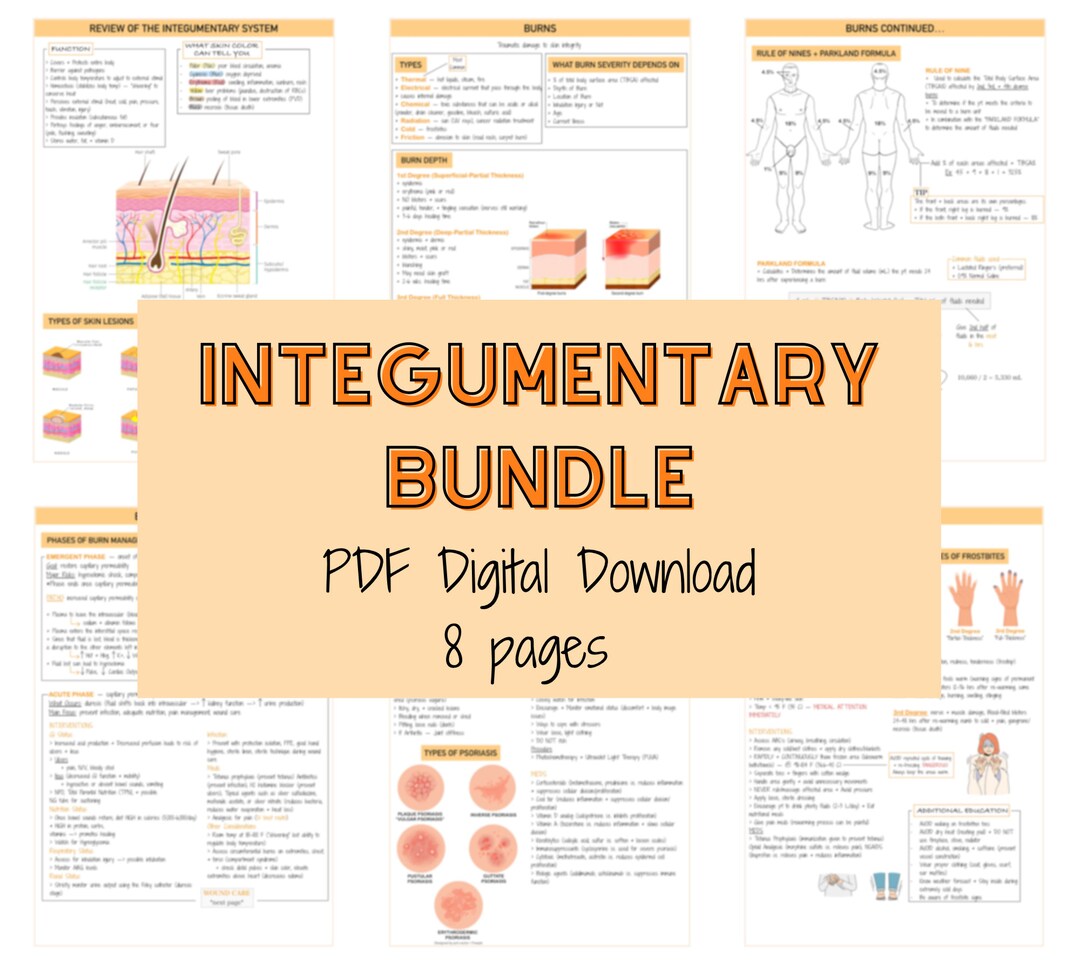 Integumentary Bundle Skin Disorders Burn Notes Med Surg - Etsy