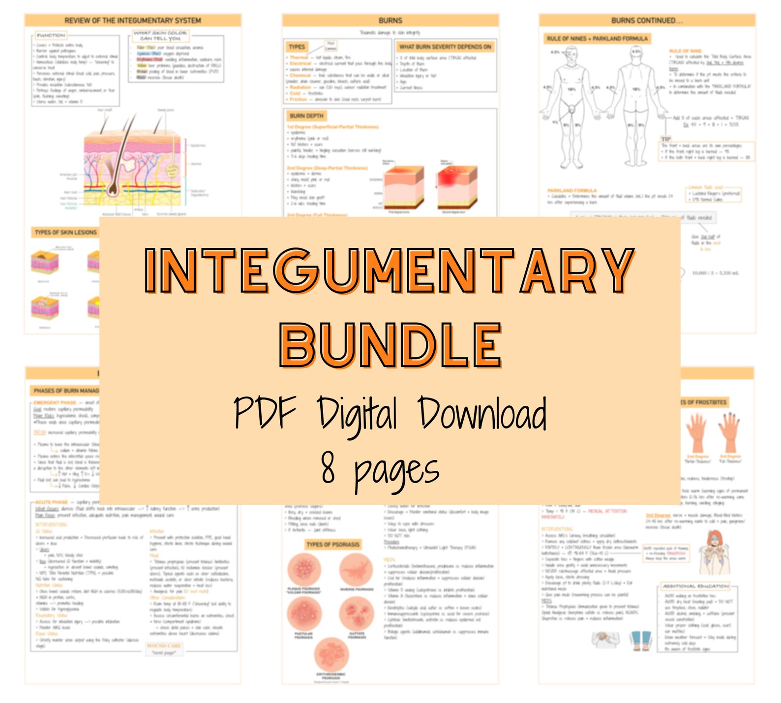 Integumentary Bundle Skin Disorders Burn Notes Med Surg - Etsy