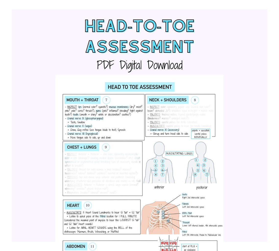 Head to Toe Assessment Guide Nursing Notes Clinical Notes - Etsy