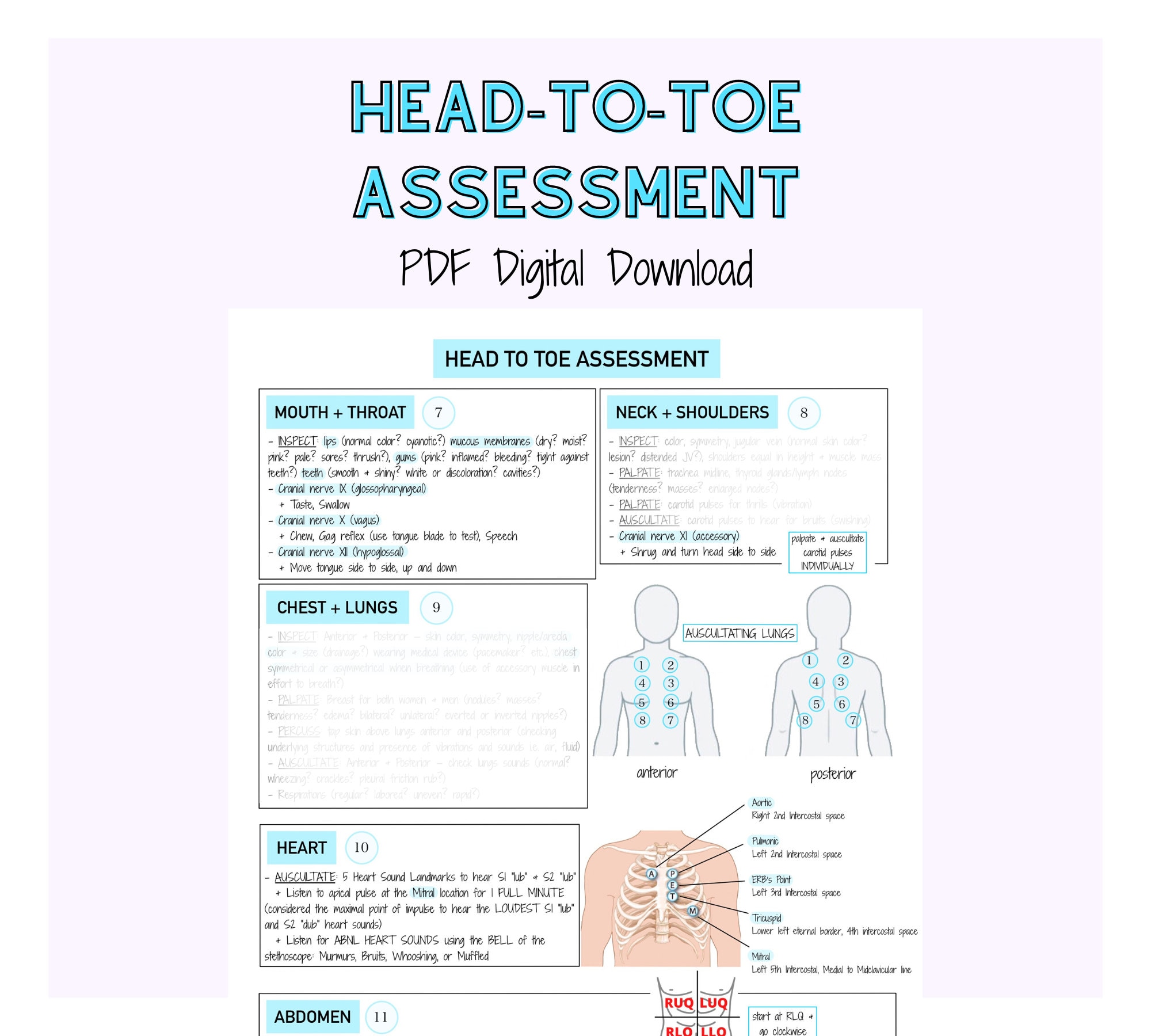 Head to Toe Assessment Guide Nursing Notes Clinical Notes - Etsy Canada