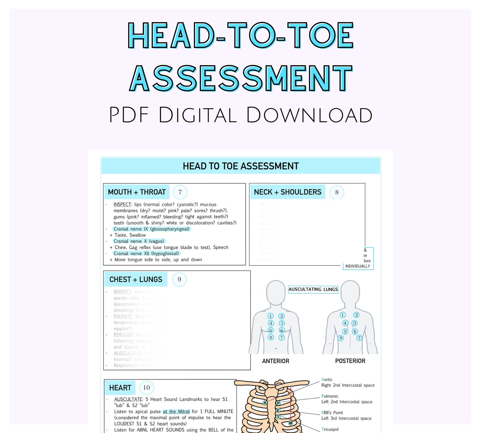 Head to Toe Assessment Guide, Nursing Notes, Clinical Notes, Nursing ...