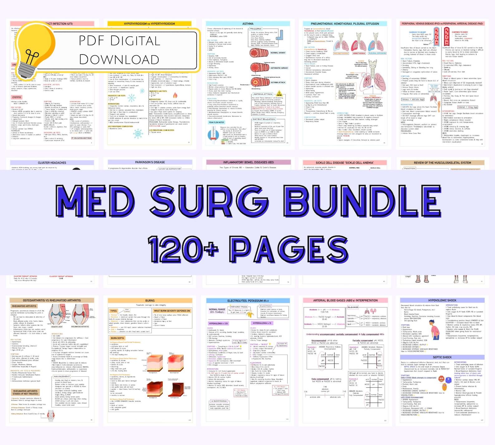 Med Surg Bundle, Med Surg Study Guide Bundle, Nursing Notes, Digital ...