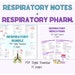 Respiratory Notes Med Surg Bundle Pharmacology Notes - Etsy