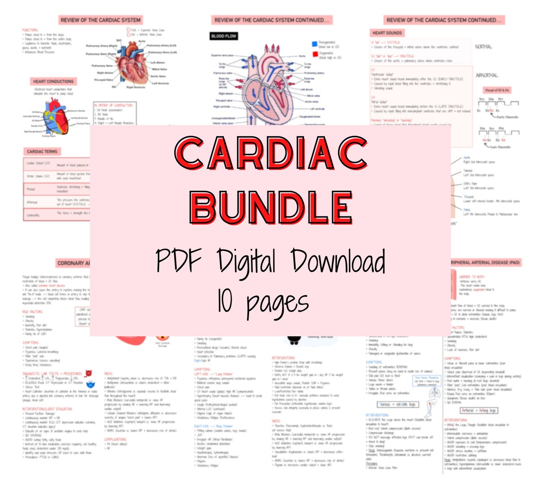 Cardiac Bundle Notes Nursing Study Guide Med Surg Notes - Etsy