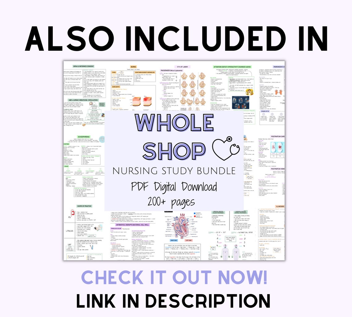 Ob/maternity Nursing Bundle Nursing Notes Digital Download - Etsy