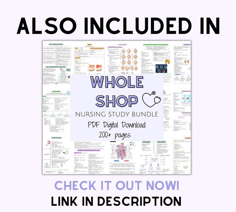 Ob/maternity Nursing Bundle Nursing Notes Digital Download - Etsy