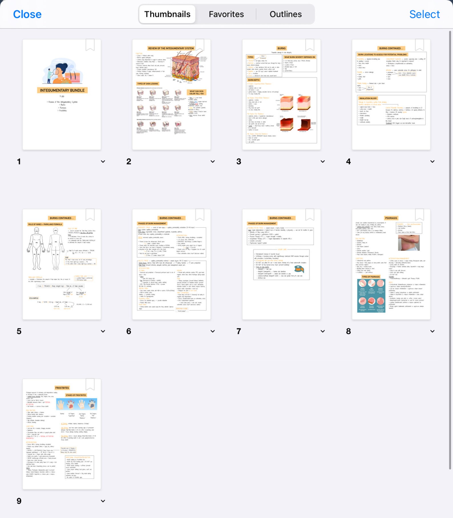 Integumentary Bundle Skin Disorders Burn Notes Med Surg - Etsy