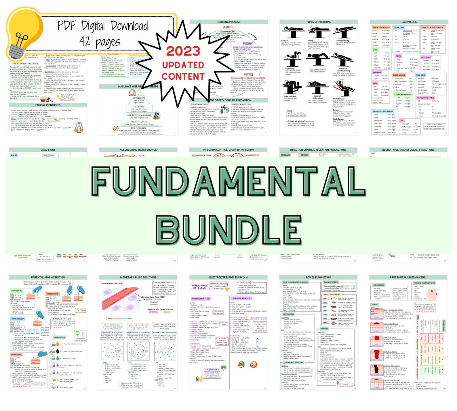Fundamental of Nursing Fundamental Bundle Notes Nursing - Etsy