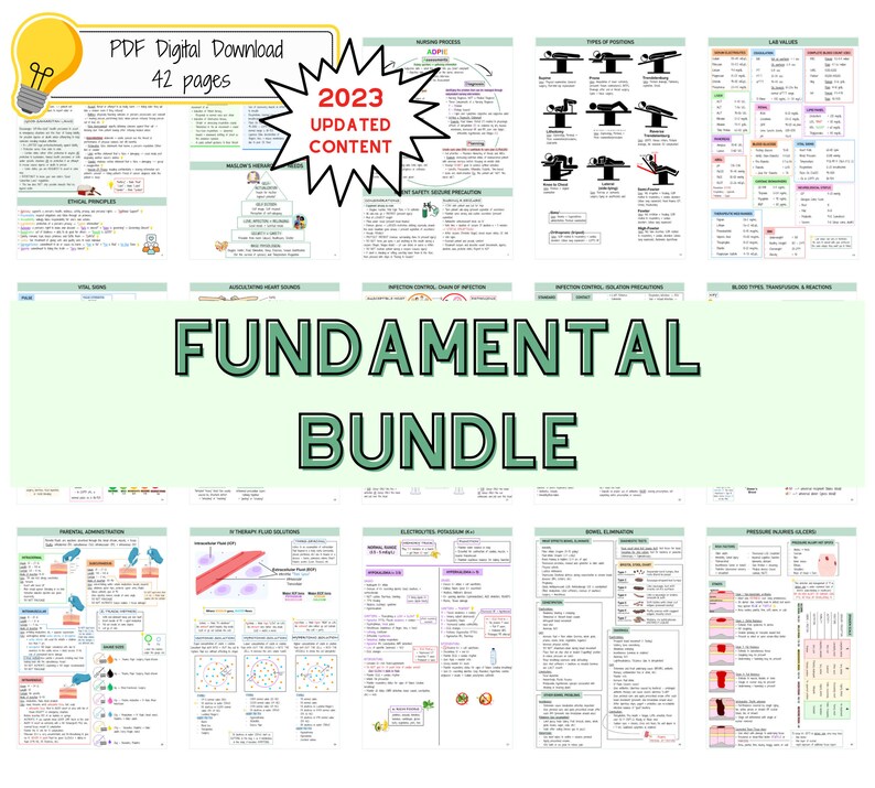 Fundamental of Nursing Fundamental Bundle Notes Nursing - Etsy