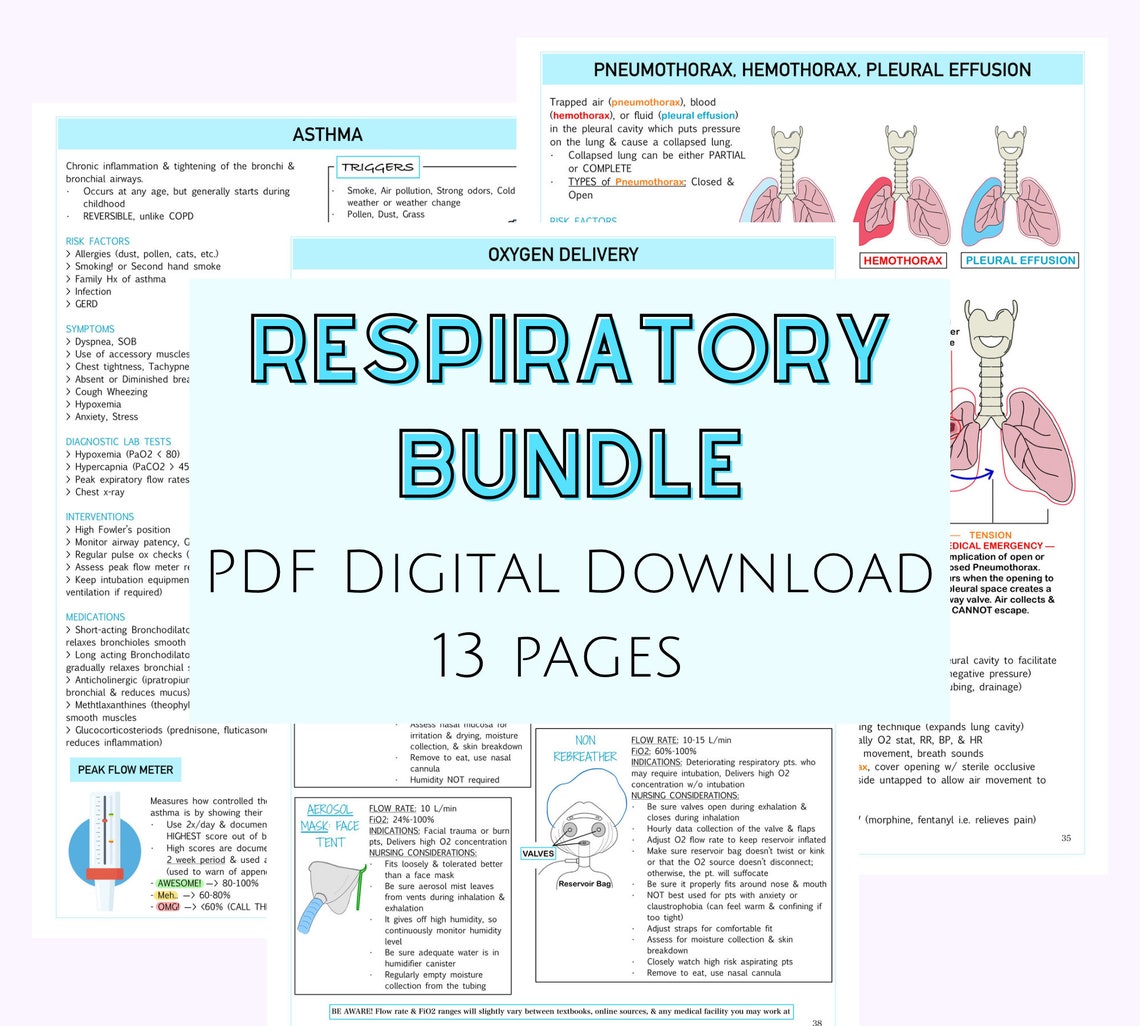 Respiratory System and Disease, Med Surg, Med Surg Nursing Study Bundle ...