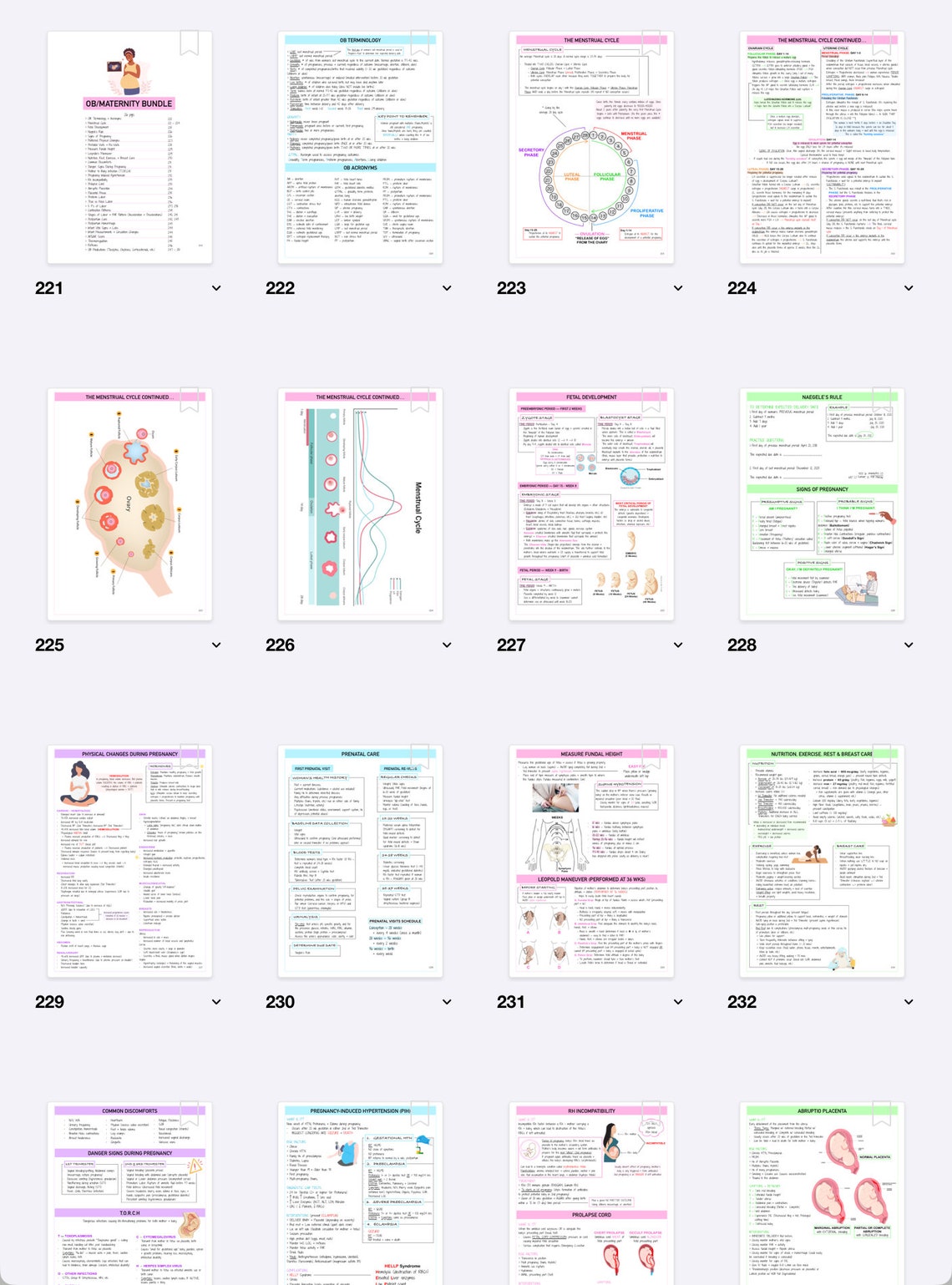 Ob/maternity Nursing Bundle Nursing Notes Digital Download - Etsy