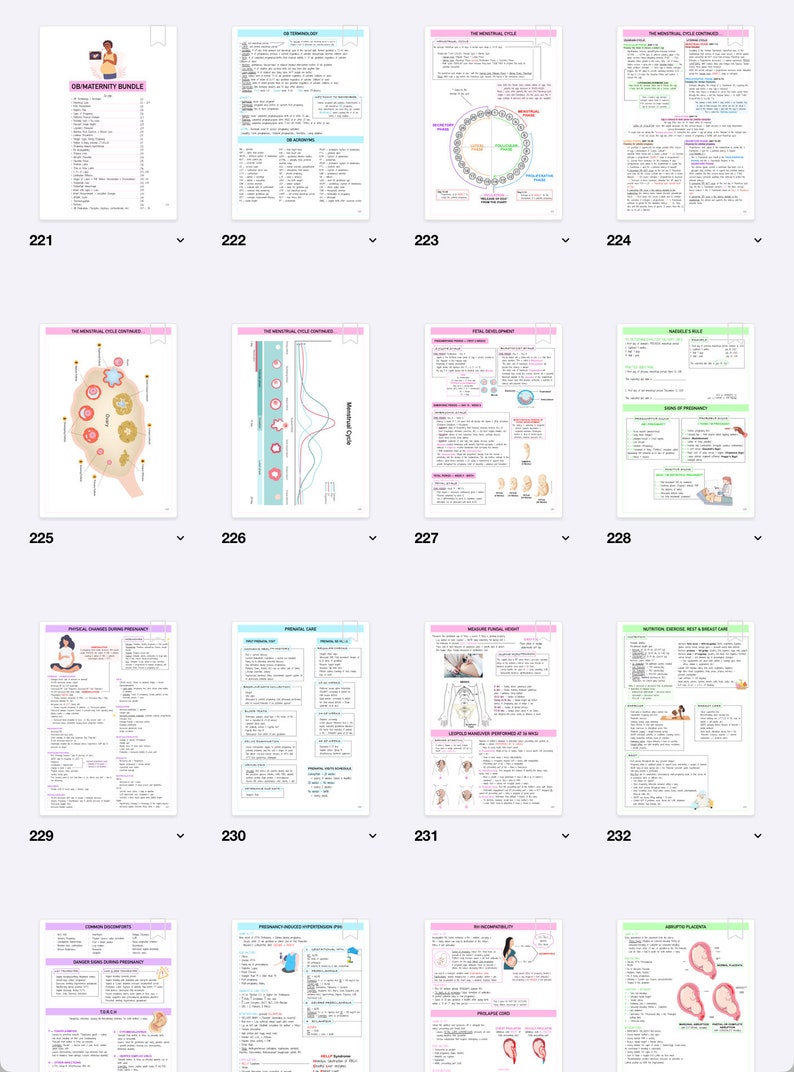 Ob/maternity Nursing Bundle Nursing Notes Digital Download - Etsy