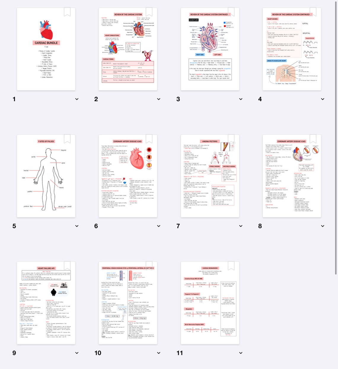 Cardiac Bundle Notes Nursing Study Guide Med Surg Notes - Etsy