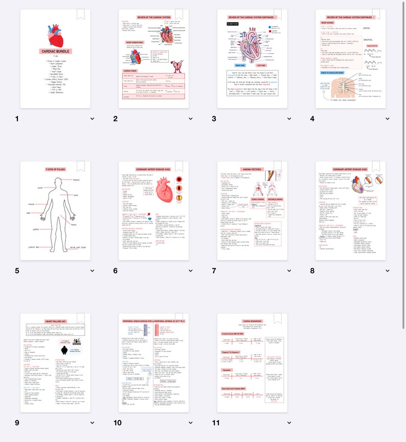 Cardiac Bundle Notes Nursing Study Guide Med Surg Notes - Etsy