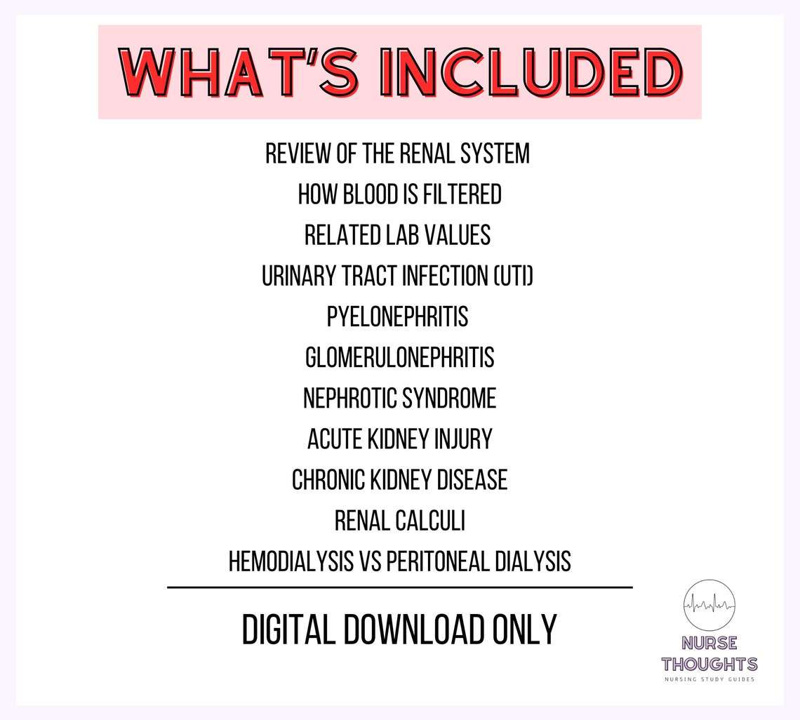 Renal/urinary System & Diseases Nursing Study Guides Nursing - Etsy