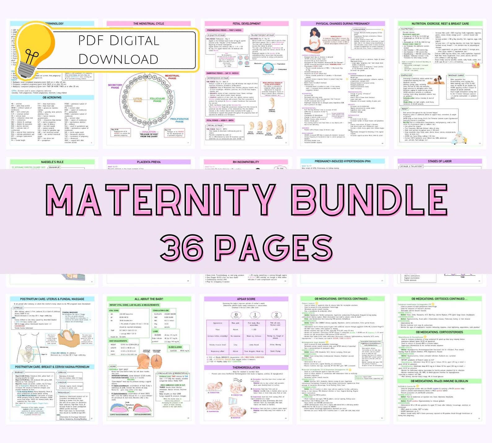 Ob/maternity Nursing Bundle, Nursing Notes, Digital Download, Nursing ...