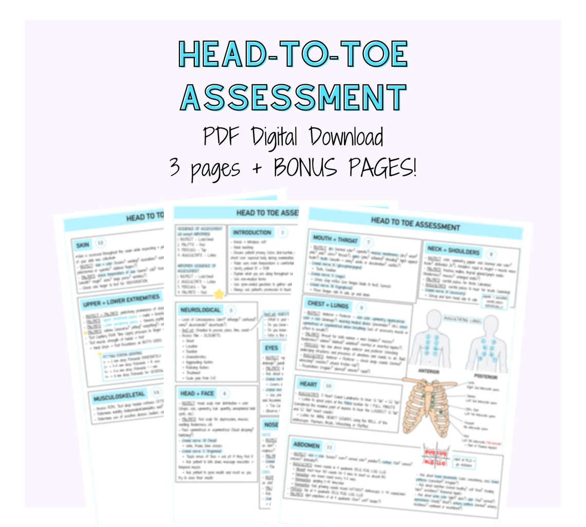 Head to Toe Assessment Guide Nursing Notes Clinical Notes - Etsy
