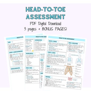 Head to Toe Assessment Guide Nursing Notes Clinical Notes - Etsy