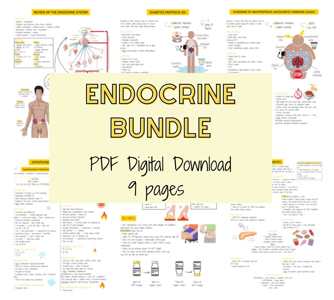 Endocrine System & Diseases Endocrine Bundle Nursing Study - Etsy