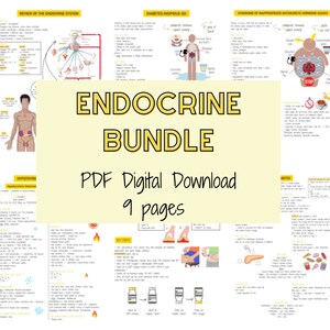 Endocrine System & Diseases Endocrine Bundle Nursing Study - Etsy
