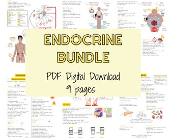 Nursing School Bundle - Etsy