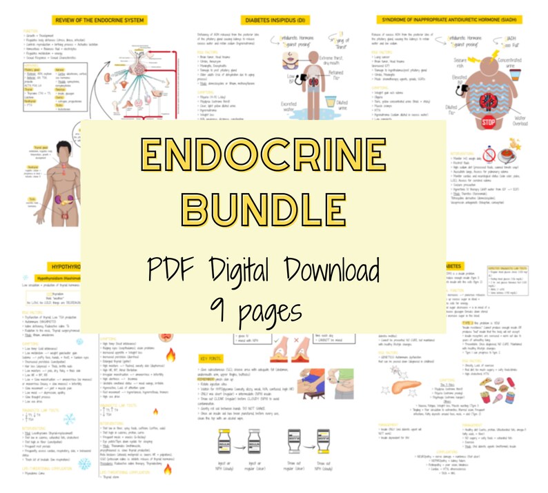 Endocrine System & Diseases Endocrine Bundle Nursing Study - Etsy