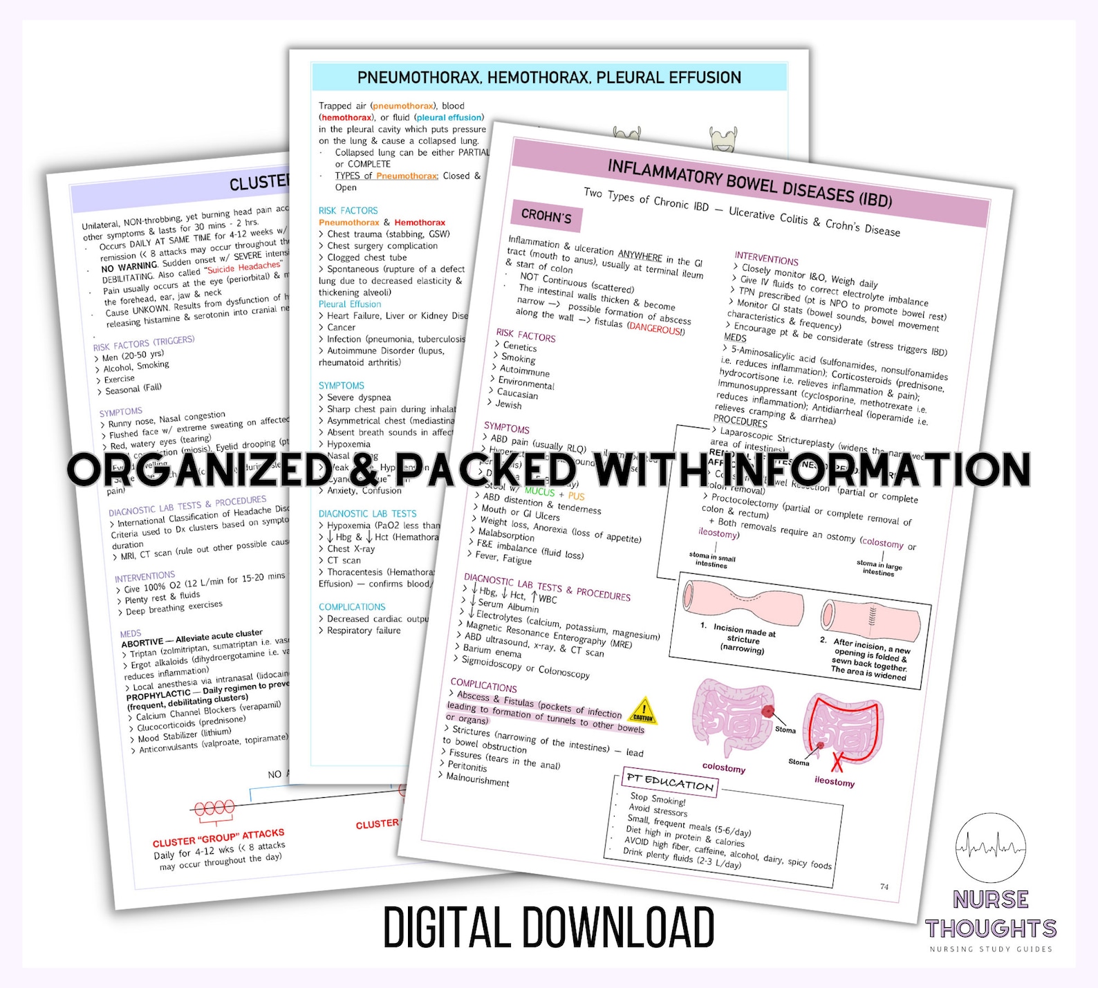 Med Surg Bundle, Med Surg Study Guide Bundle, Nursing Notes, Digital ...