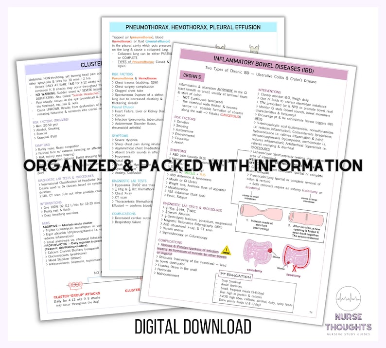Med Surg Bundle, Med Surg Study Guide Bundle, Nursing Notes, Digital ...
