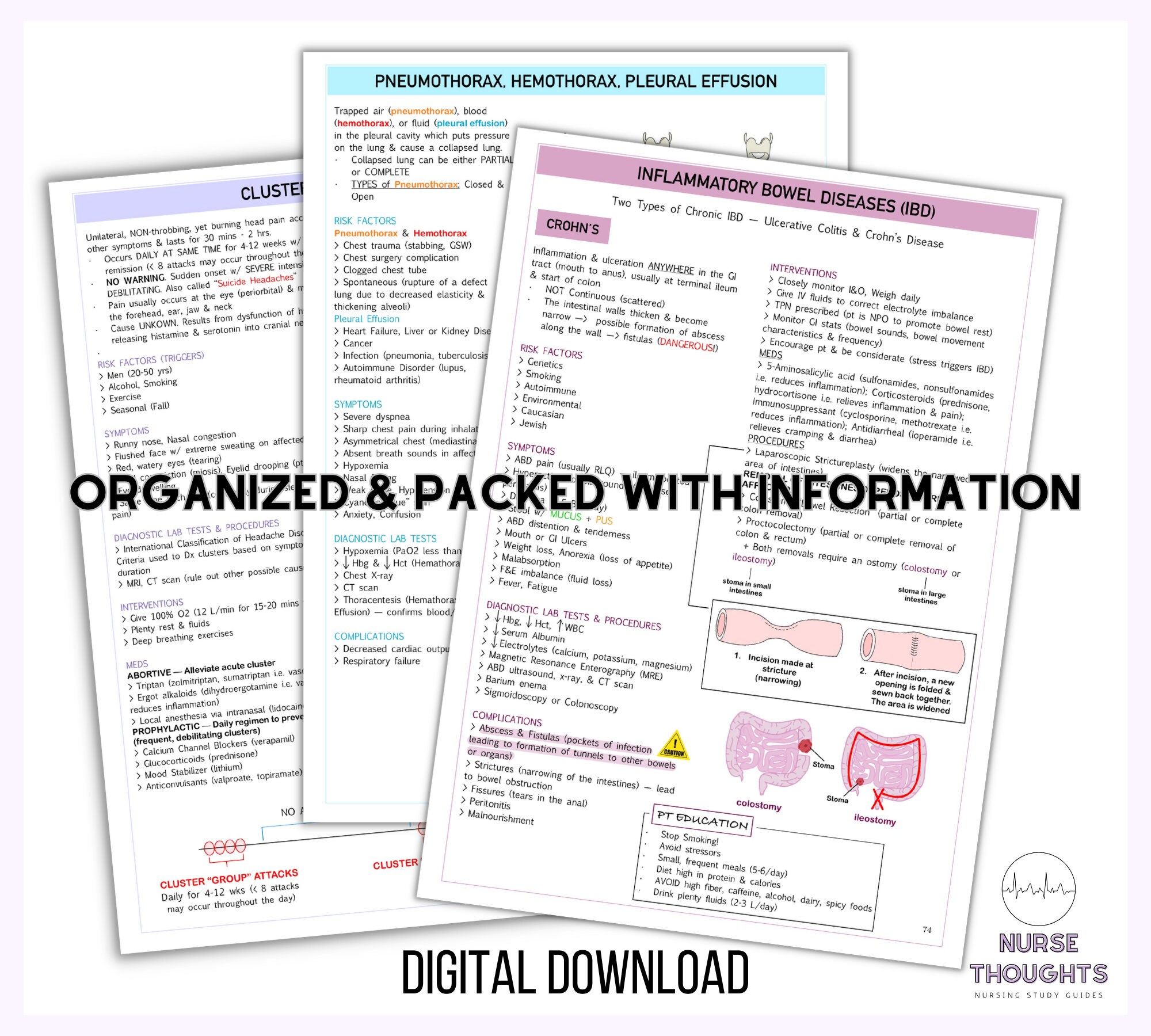 Med Surg Bundle, Med Surg Study Guide Bundle, Nursing Notes, Digital ...