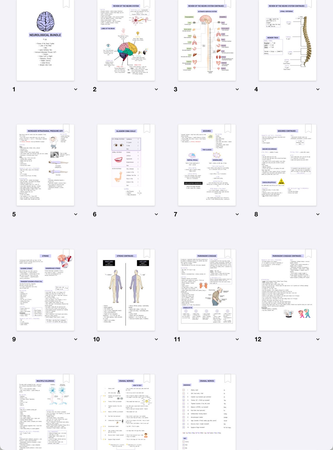 Neurological Bundle Neuro Bundle Notes Med Surg Notes - Etsy