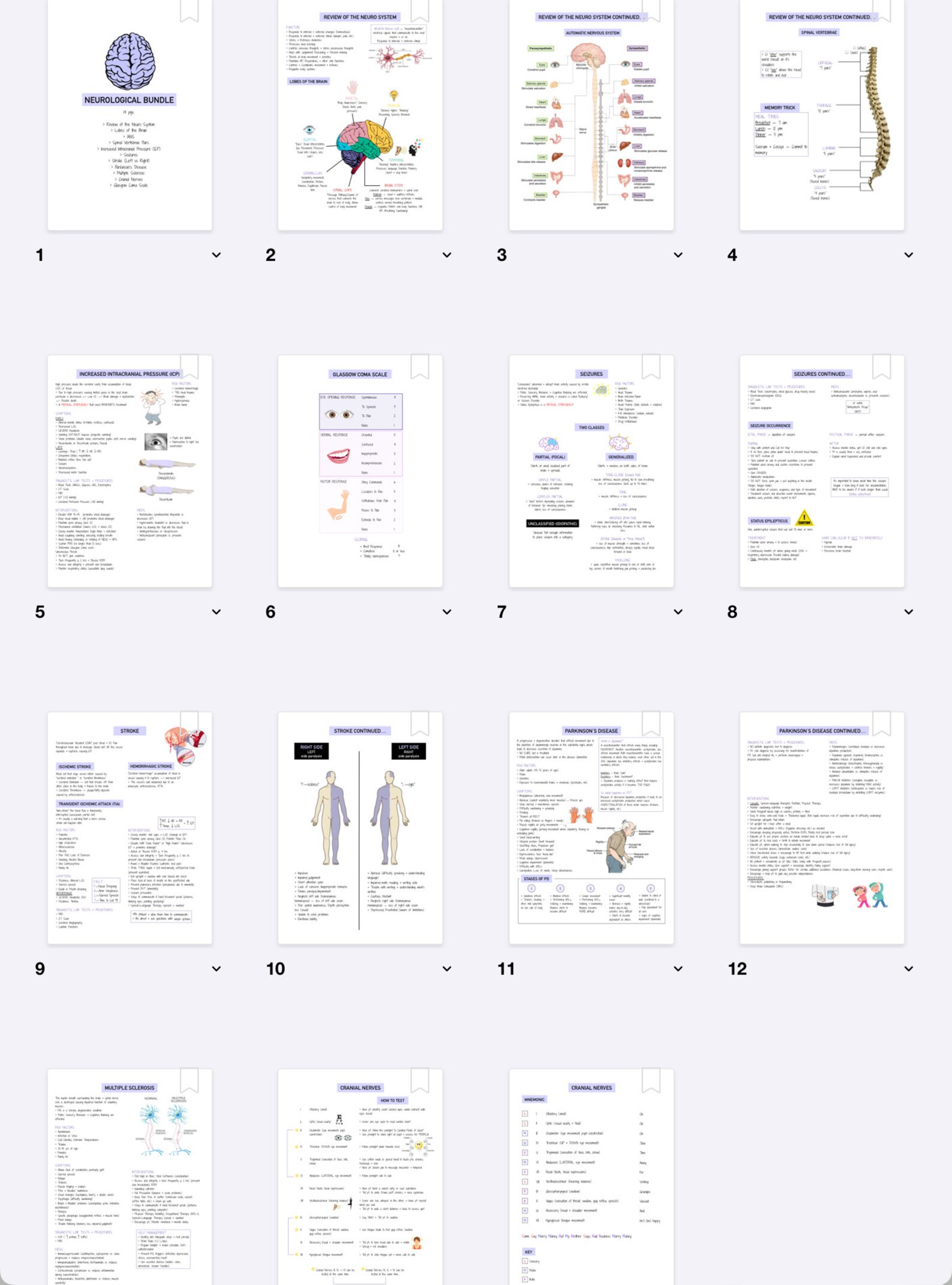 Neurological Bundle Neuro Bundle Notes Med Surg Notes - Etsy