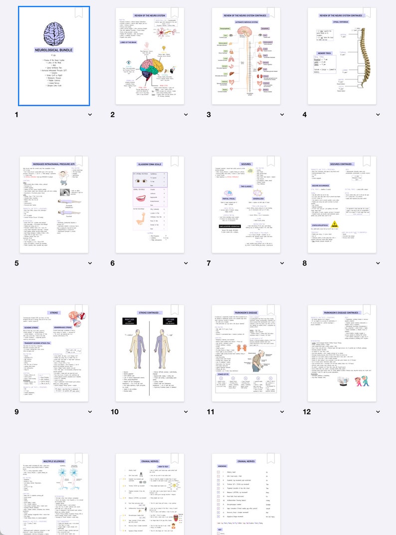 Neurological Bundle Neuro Bundle Notes Med Surg Notes - Etsy