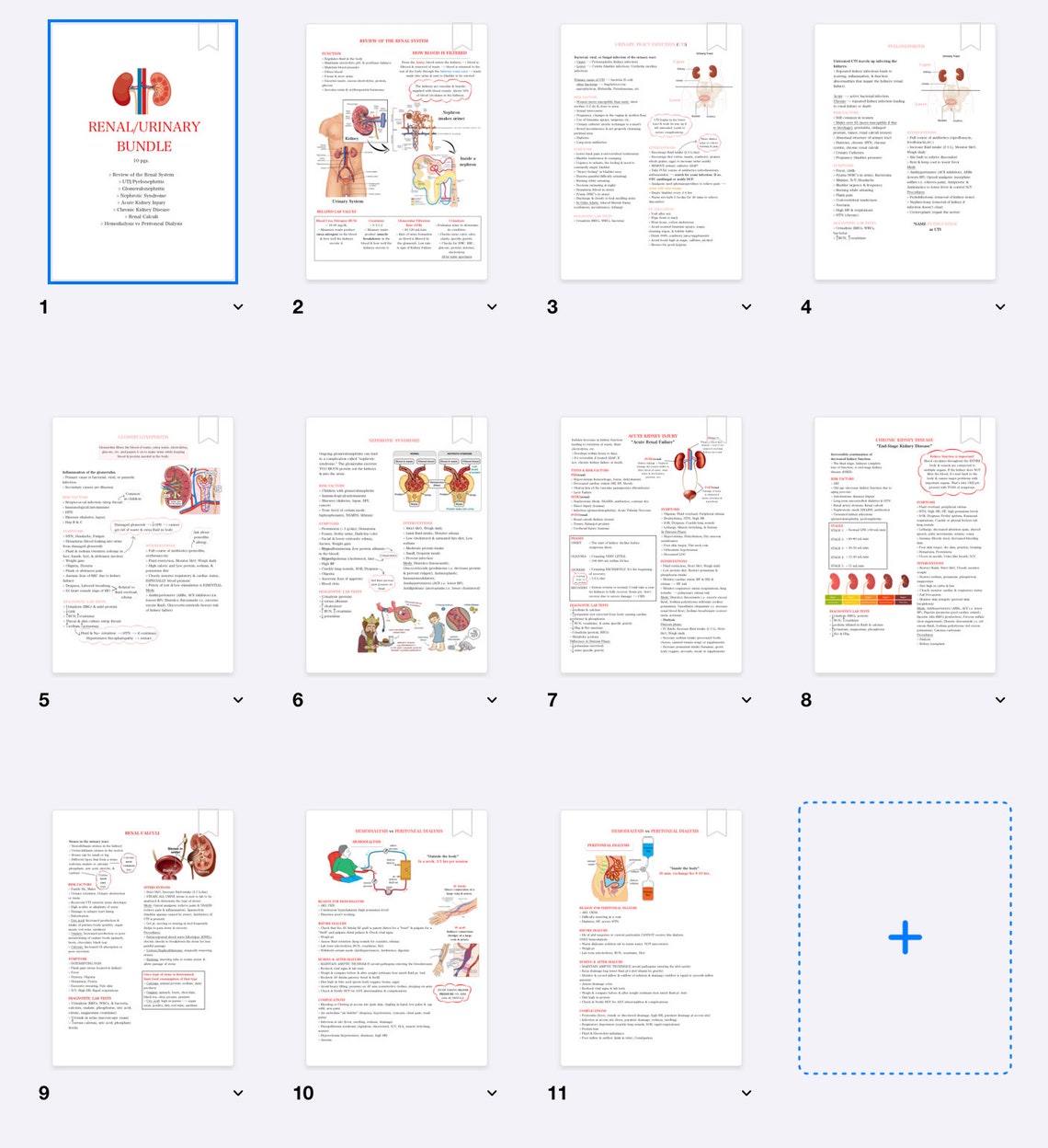 Renal/urinary System & Diseases Nursing Study Guides Nursing | Etsy