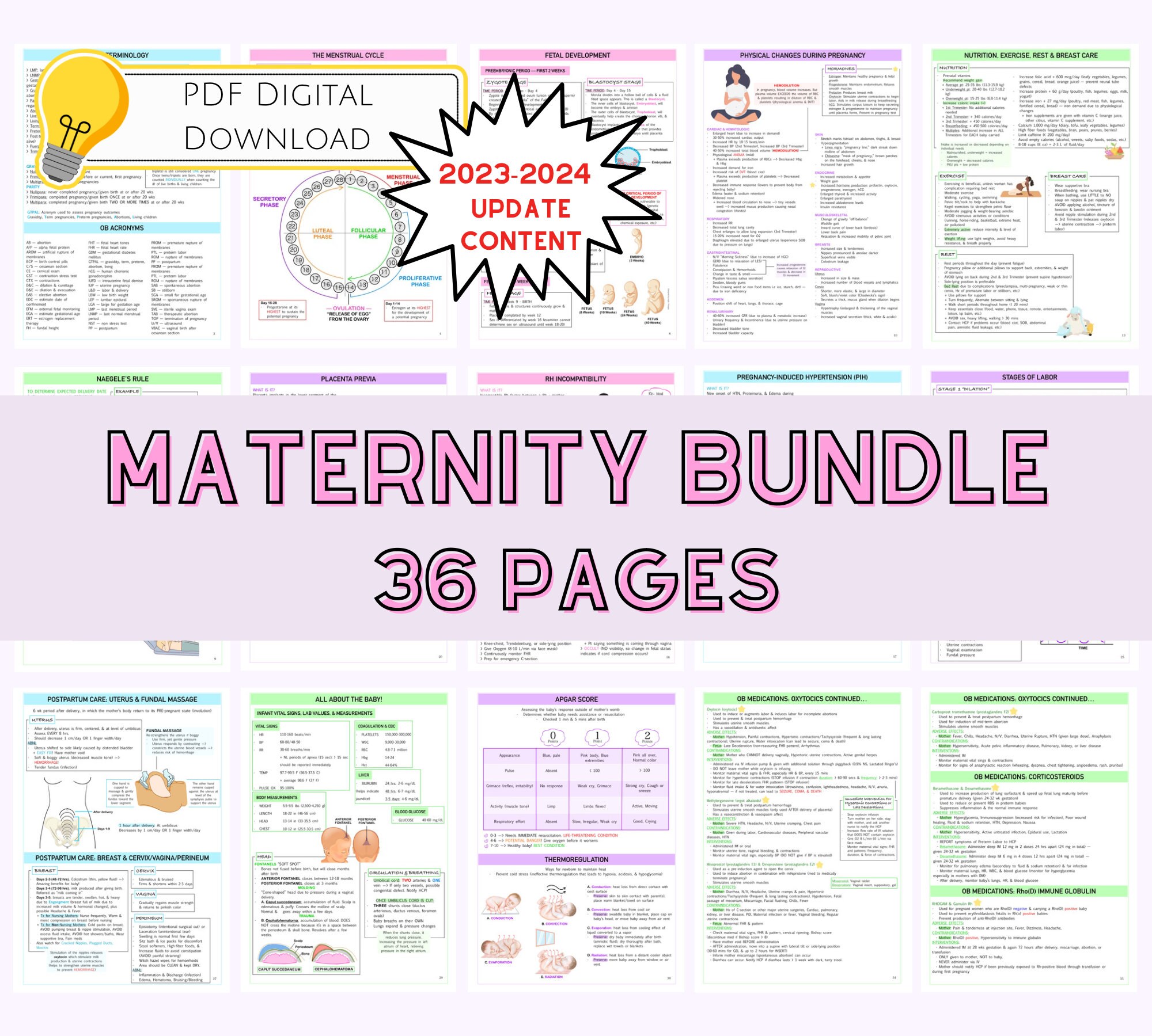 Ob/maternity Nursing Bundle, Nursing Notes, Digital Download, Nursing ...