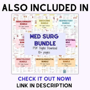 Respiratory System and Disease Med Surg Med Surg Nursing - Etsy