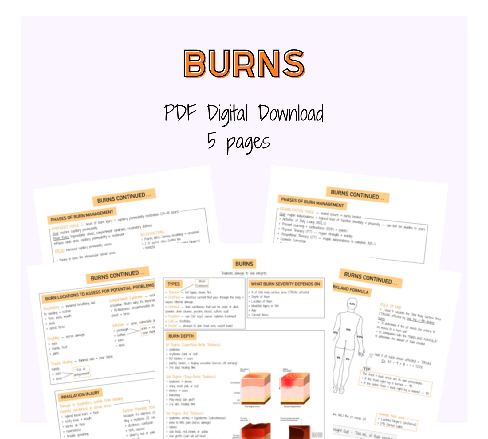 Burns Nursing Notes Integumentary System Burn Notes Nursing - Etsy