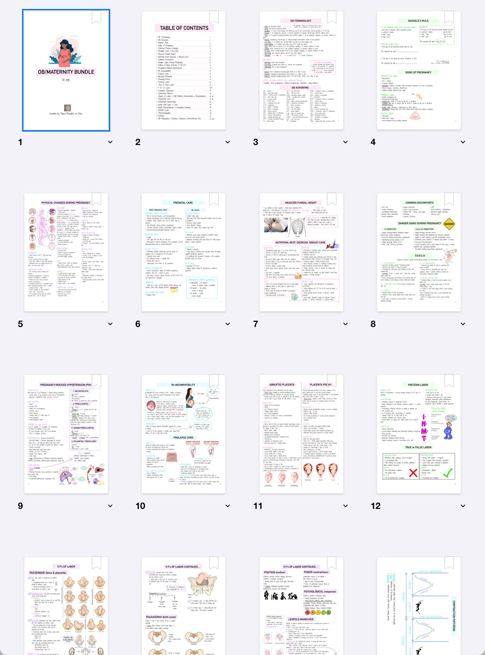 Ob/maternity Nursing Bundle Nursing Notes Digital Download - Etsy