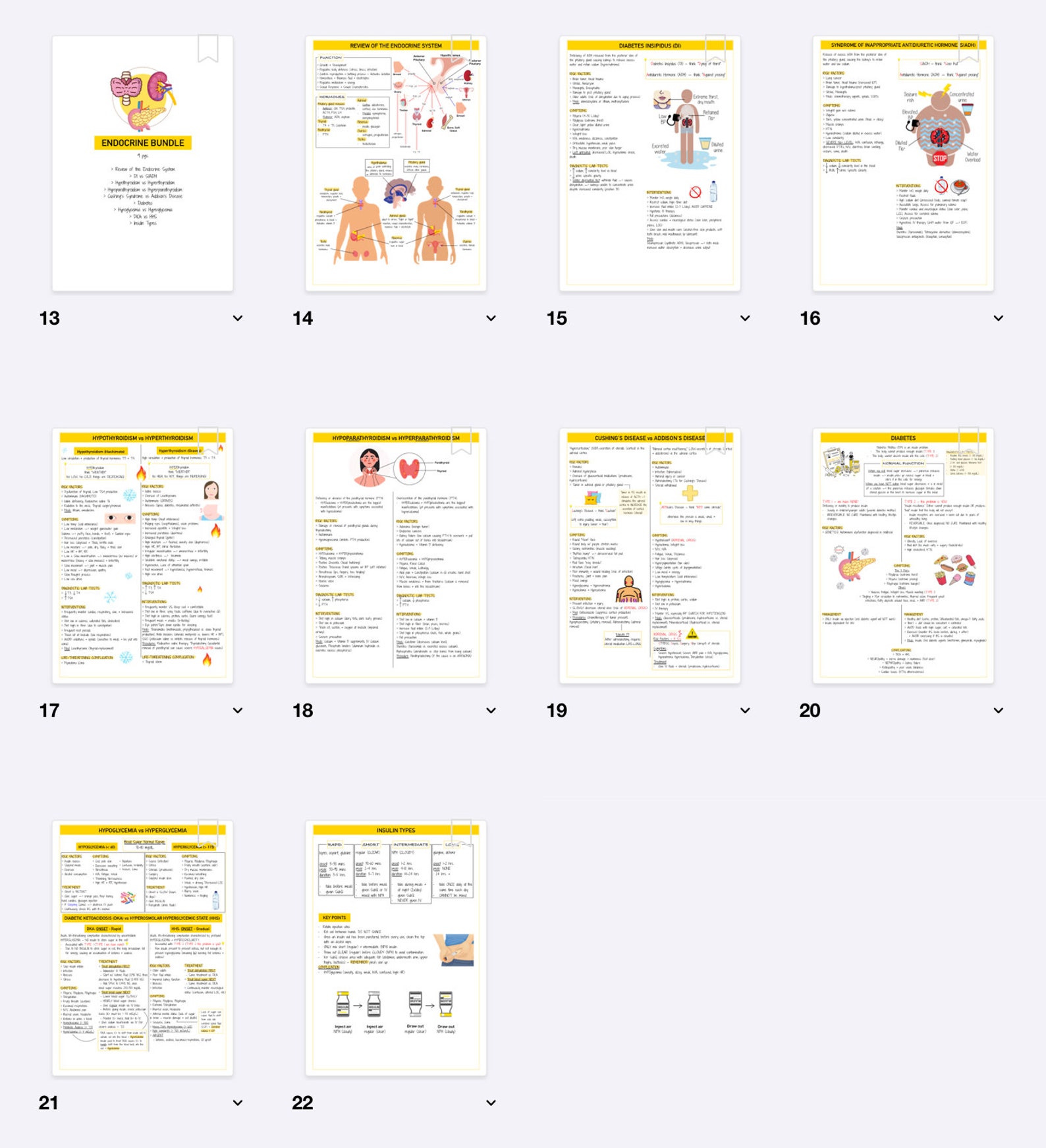 Endocrine System & Diseases Endocrine Bundle Nursing Study - Etsy