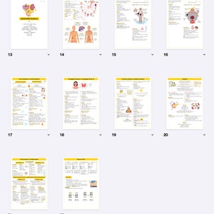 Endocrine System & Diseases Endocrine Bundle Nursing Study - Etsy