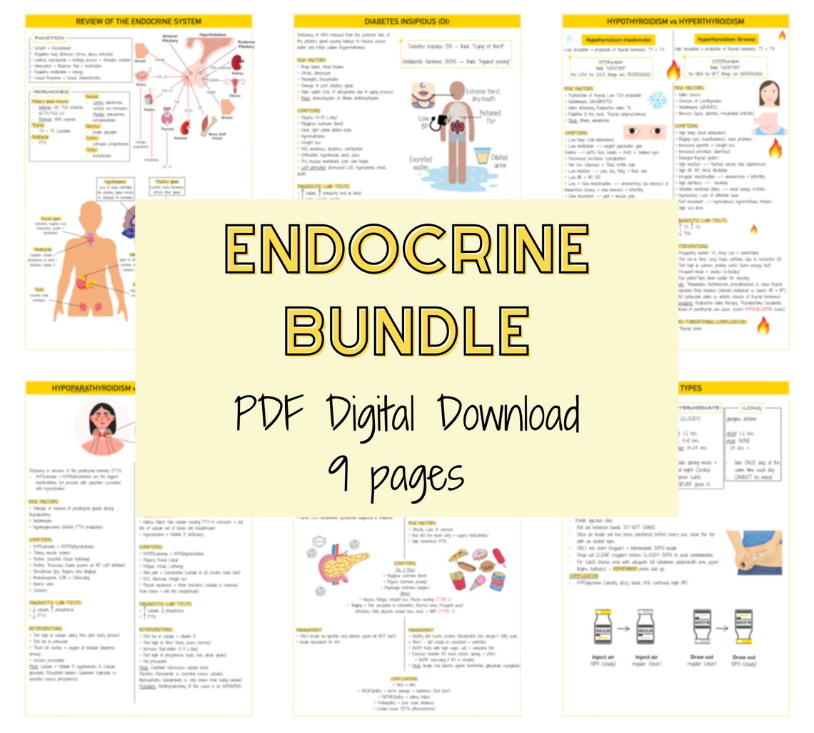 Endocrine System & Diseases Endocrine Bundle Nursing Study - Etsy