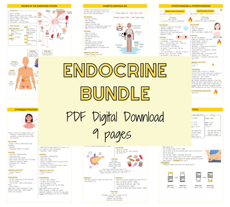 Endocrine System & Diseases Endocrine Bundle Nursing Study - Etsy