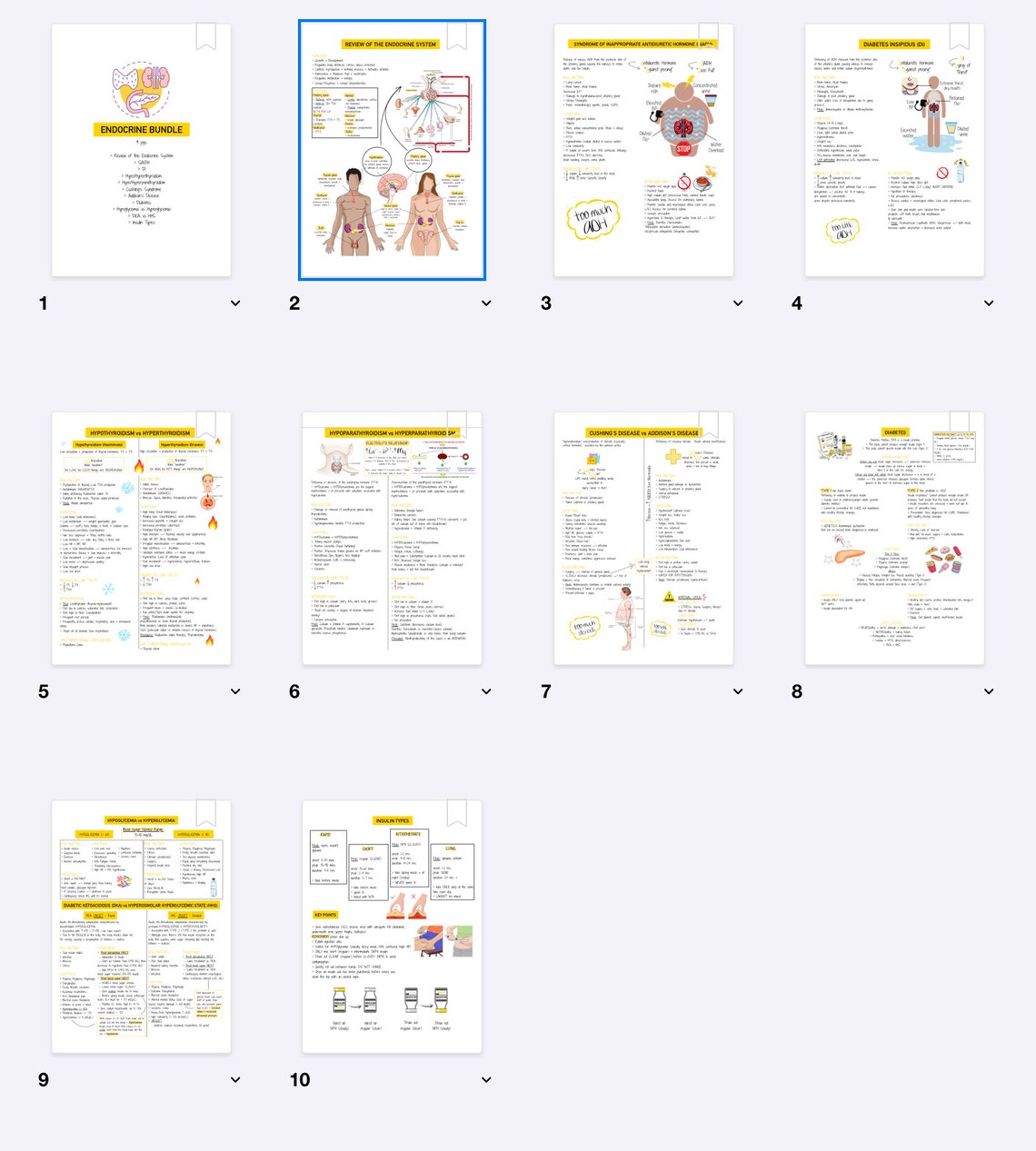 Endocrine System & Diseases Endocrine Bundle Nursing Study - Etsy