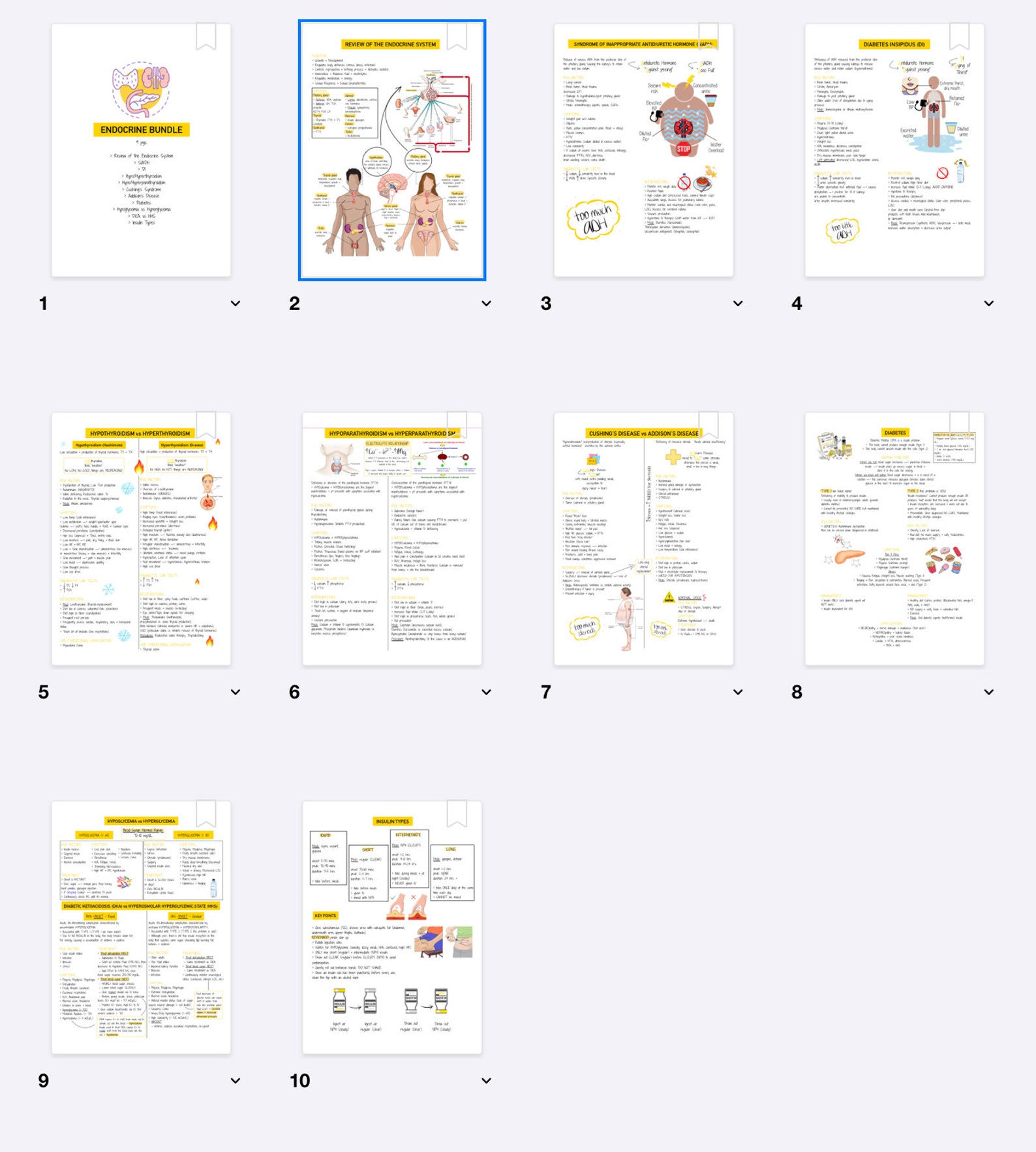 Endocrine System & Diseases Endocrine Bundle Nursing Study - Etsy