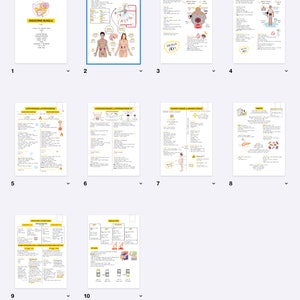 Endocrine System & Diseases Endocrine Bundle Nursing Study - Etsy