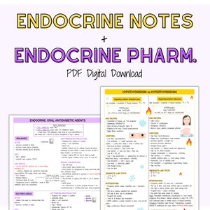 Endocrine System & Diseases Endocrine Notes Pharmacology - Etsy