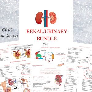 Renal/urinary System & Diseases Nursing Study Guides Nursing | Etsy
